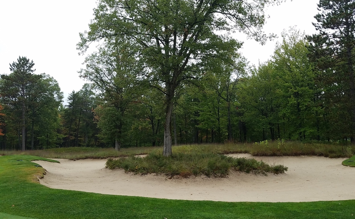 Forest Dunes Course - Michigan Golf Trips