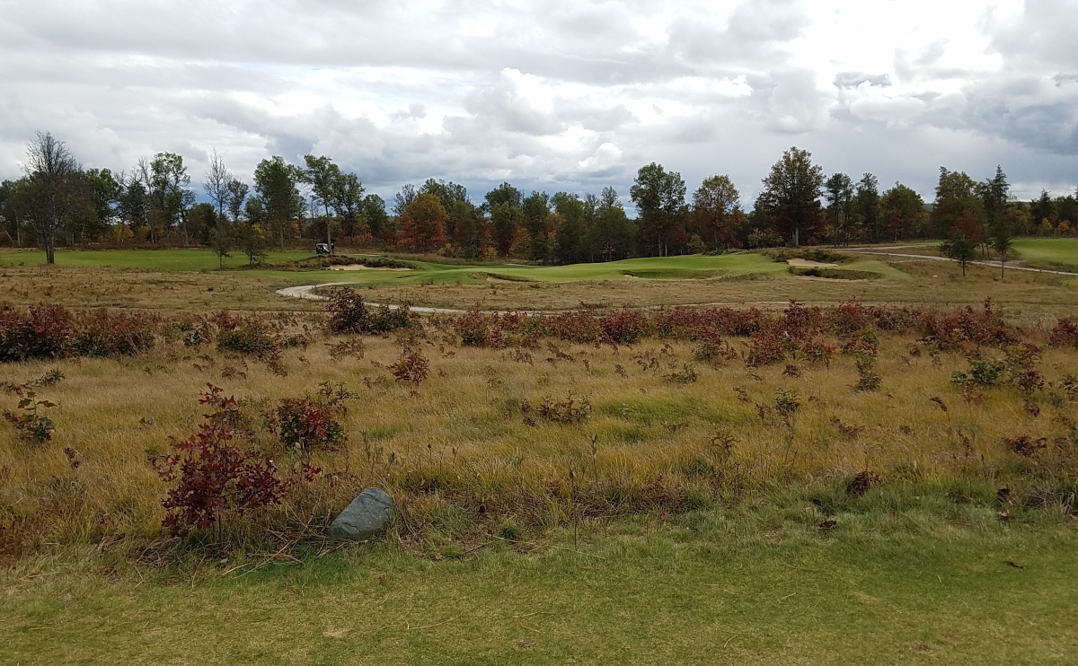 The Loop - Michigan Golf Trips